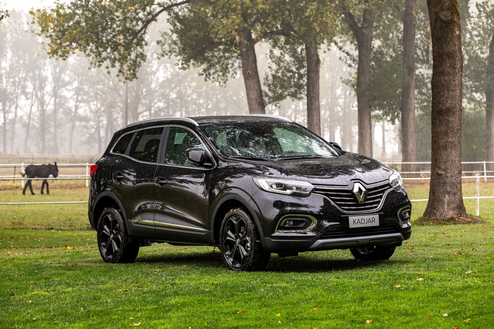 Renault Kadjar 4X4 Black Edition, let's twist
