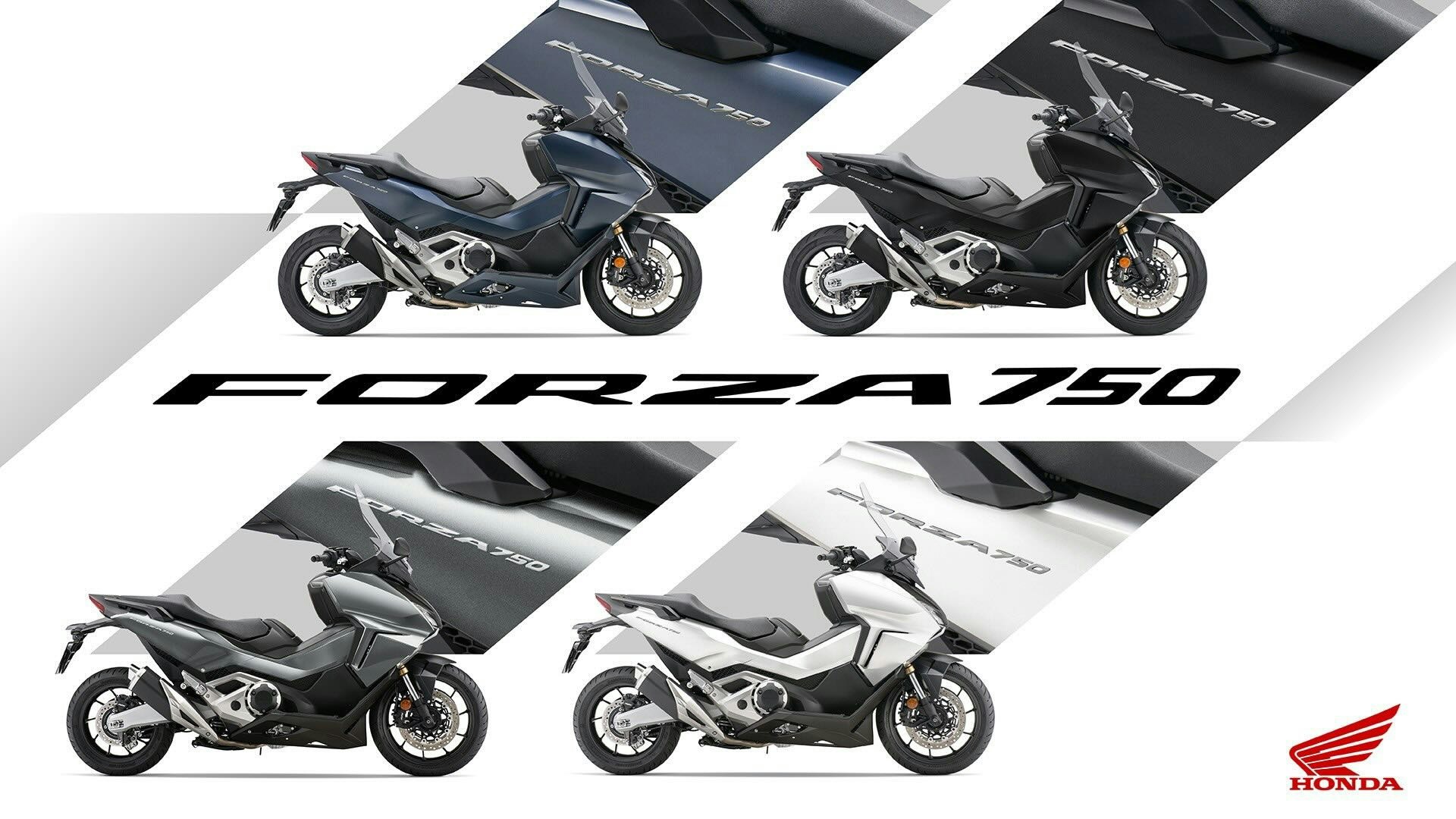 Honda, le novità 2023 per X-ADV, NC750X, Forza 750, NT1100 - RED Live